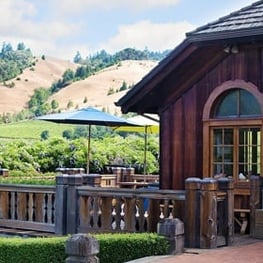 Everything You Need to Know About UBIT and UDFI