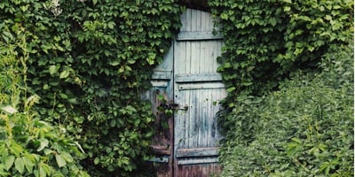 Demystifying Self-Directed IRAs