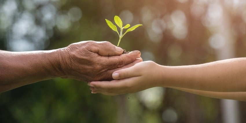 2025 Inherited IRA Rules: What You Need to Know